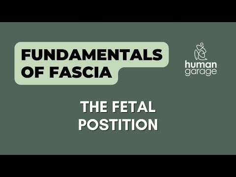 Fundamentals of Fascia: What is the most healing & power position for the body? Fetal Position!
