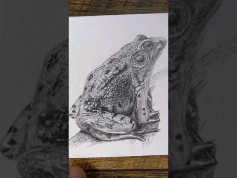 Seeing the world through an artist's eyes unveils the extraordinary in the ordinary. #MikeHendley