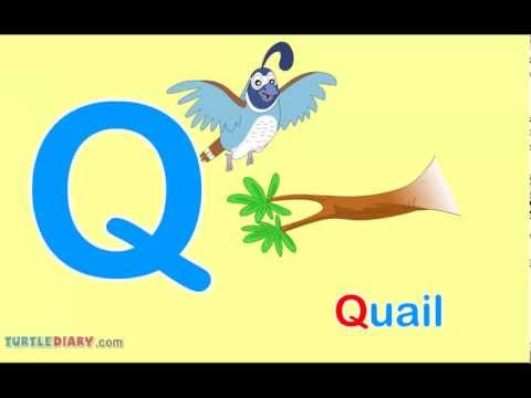 What Words Start With Letter Q? *Words For Toddlers*