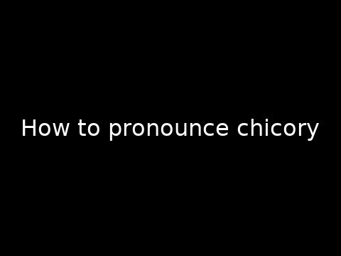 How to pronounce chicory