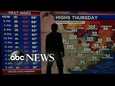 Live on-air news bloopers
