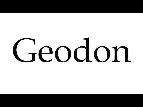 How to Pronounce Geodon