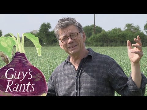 Guy's Revolution - local food & why a French farm