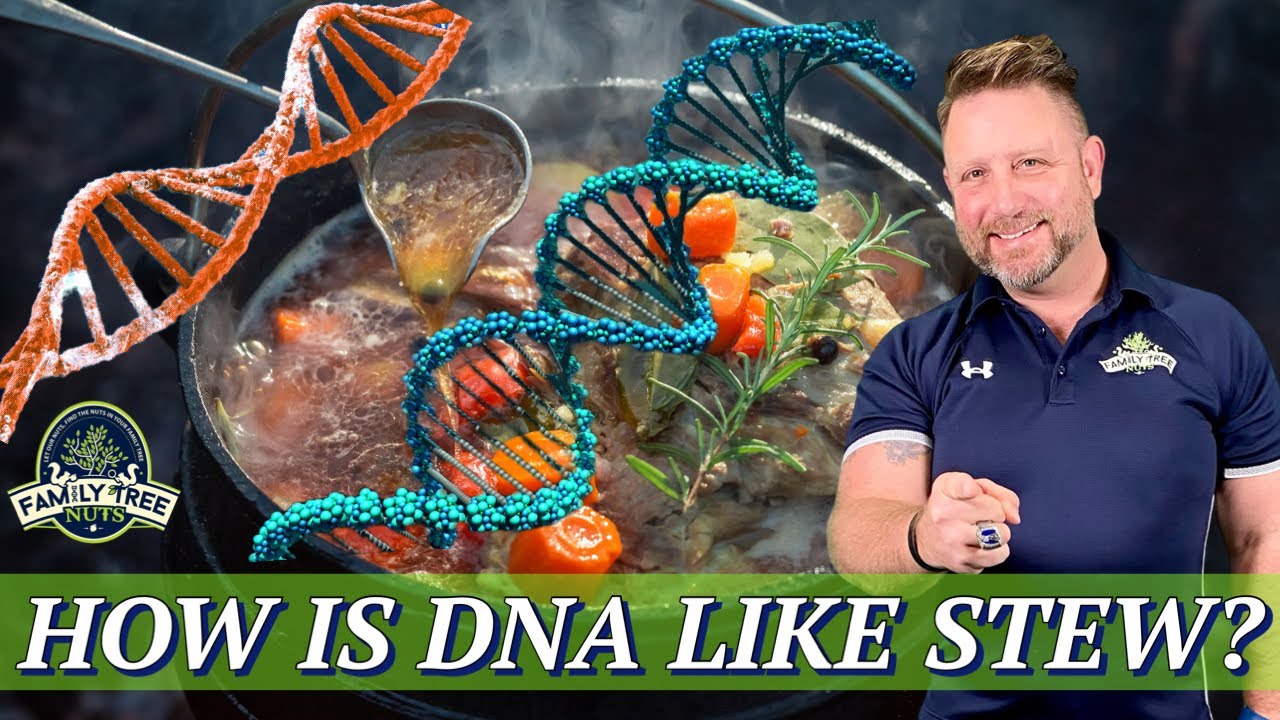 WHY SIBLINGS HAVE DIFFERENT DNA! HISTORY & GENEALOGY STEW!