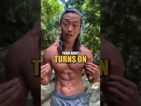 Why Most Men Are Fat in 2025