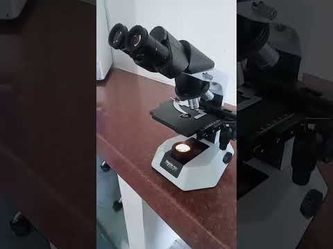 Labomed Microscope - Latest Price, Dealers & Retailers in India