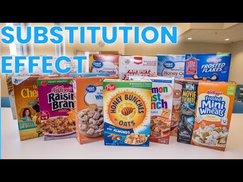 Substitution Effect vs Income Effect | Economic Concepts Explained | Think Econ