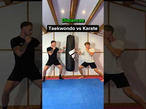 Taekwondo vs Karate