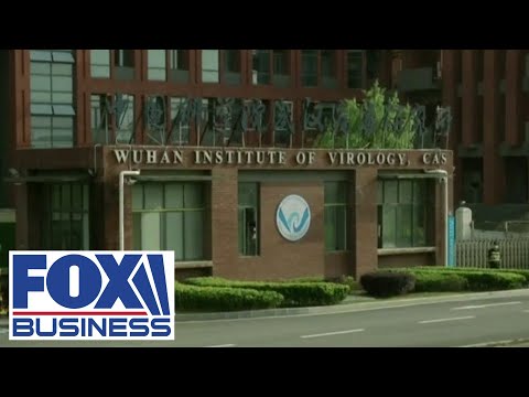 Democrats stonewalling Wuhan lab leak probe as 'distraction': report