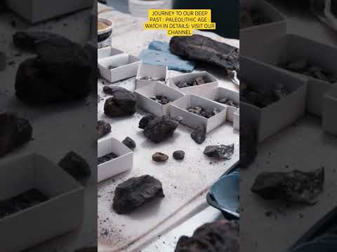 EARLY HUMANITY: PALEOLITHIC CULTURE