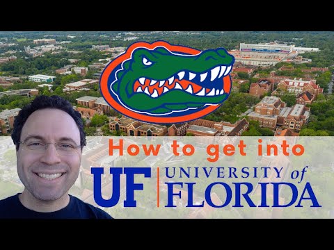 How to get into University of Florida (Honors Program & Innovation Academy Included)
