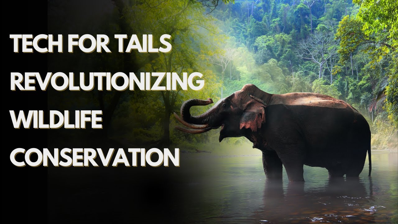 Tech for Tails Revolutionizing Wildlife Conservation