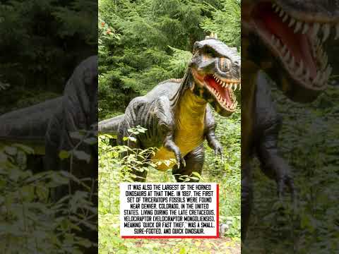 What dinosaur name means "fast thief? #shorts #dinosaur #dinosaurs