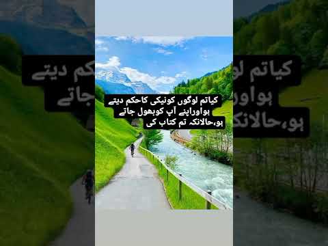 nature meditation | Quran verses | June 8, 2022