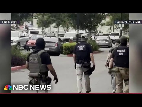 New ICE data reveals who federal agents are detaining in immigration raids