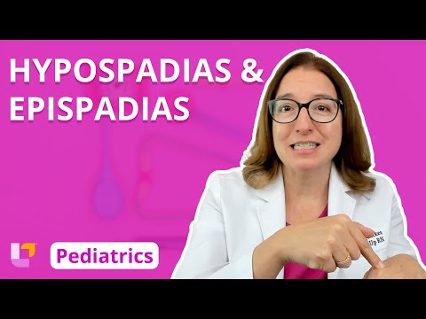 Hypospadias & Epispadias : Alterations in Health - Pediatric Nursing | @LevelUpRN