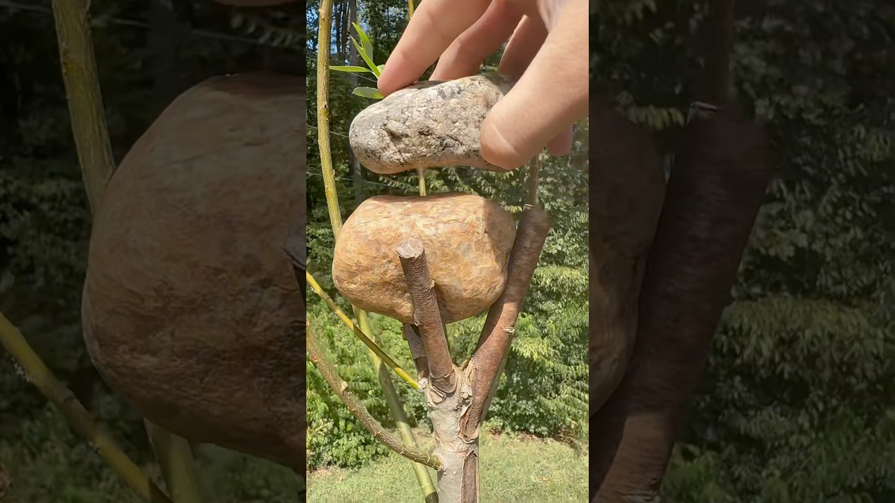 Pt.5 of The Mace of Stick and Stone 🧙🏻‍♂️🌳⚔️