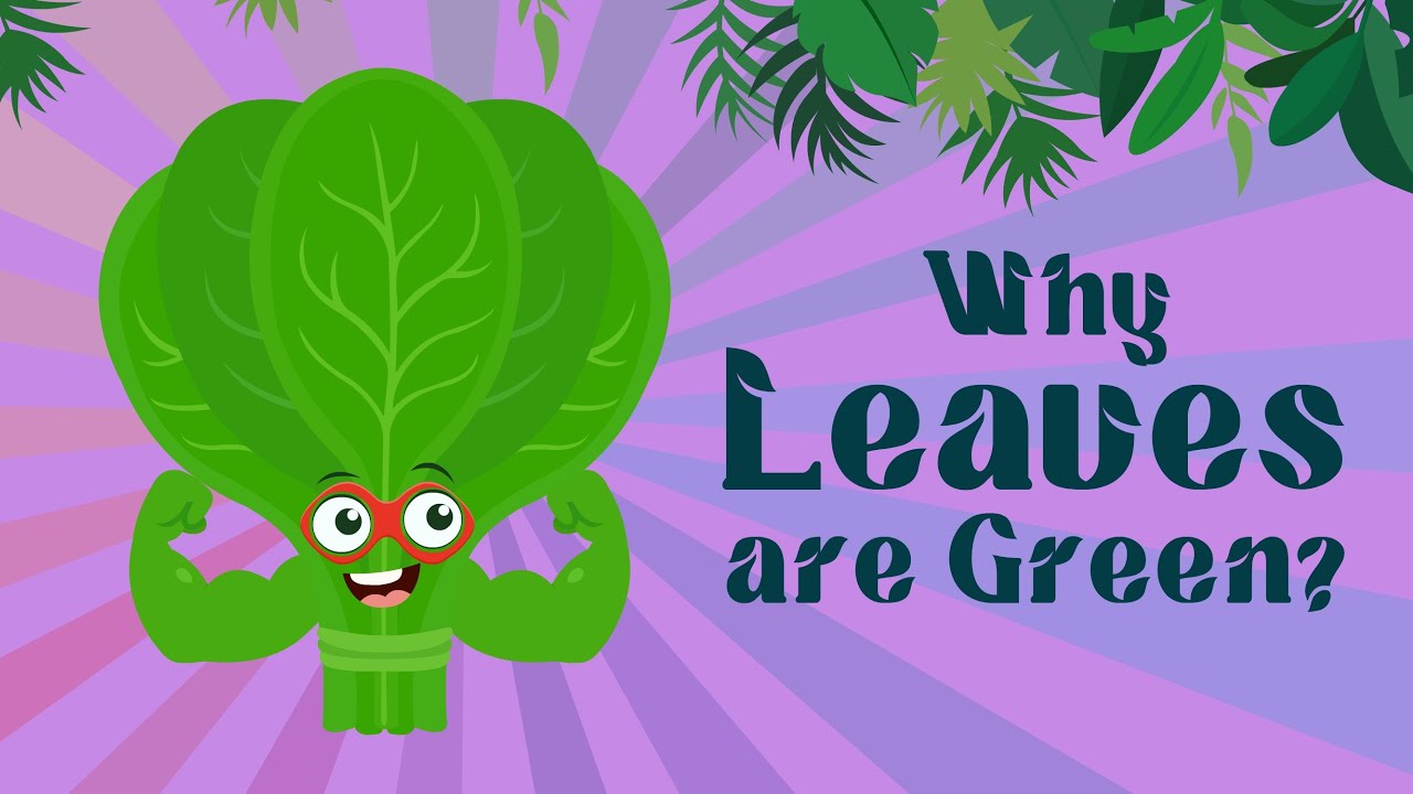 Why Are Leaves Green? - Nature’s Biggest Secret Revealed! - Learning Junction #youtube