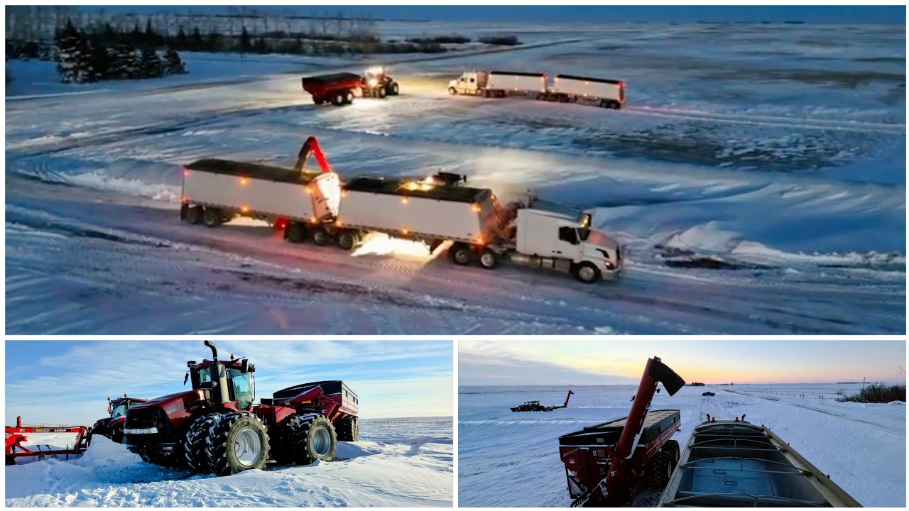 West Farm - Bag Picking 🥶