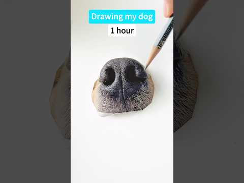 How to draw a dog *MEGA REALISTIC* #dog #sketch #drawing #art #funnypets