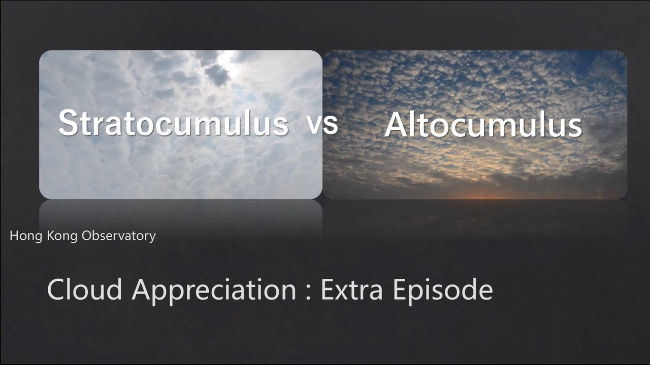 Cloud Appreciation: Stratocumulus vs Altocumulus
