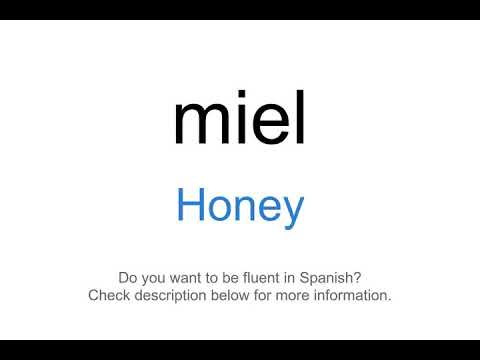How to say "Honey" in Spanish | miel