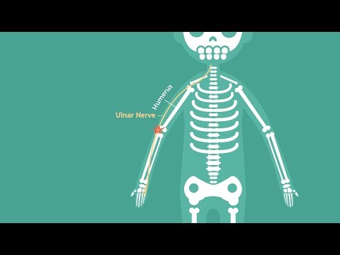 THE FUNNY BONE