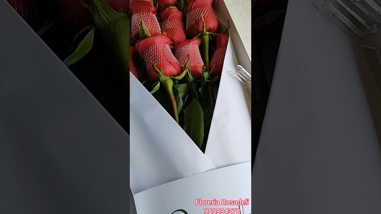 Caja de 12 rosas - Floreria de Rosadeli