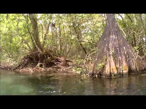 weeki wachee