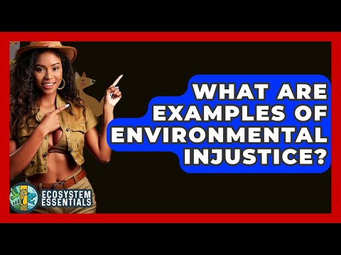 What Are Examples Of Environmental Injustice? - Ecosystem Essentials