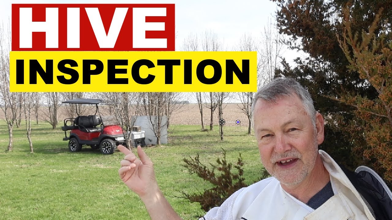 Beekeeping Hinges On A Proper Hive Inspection