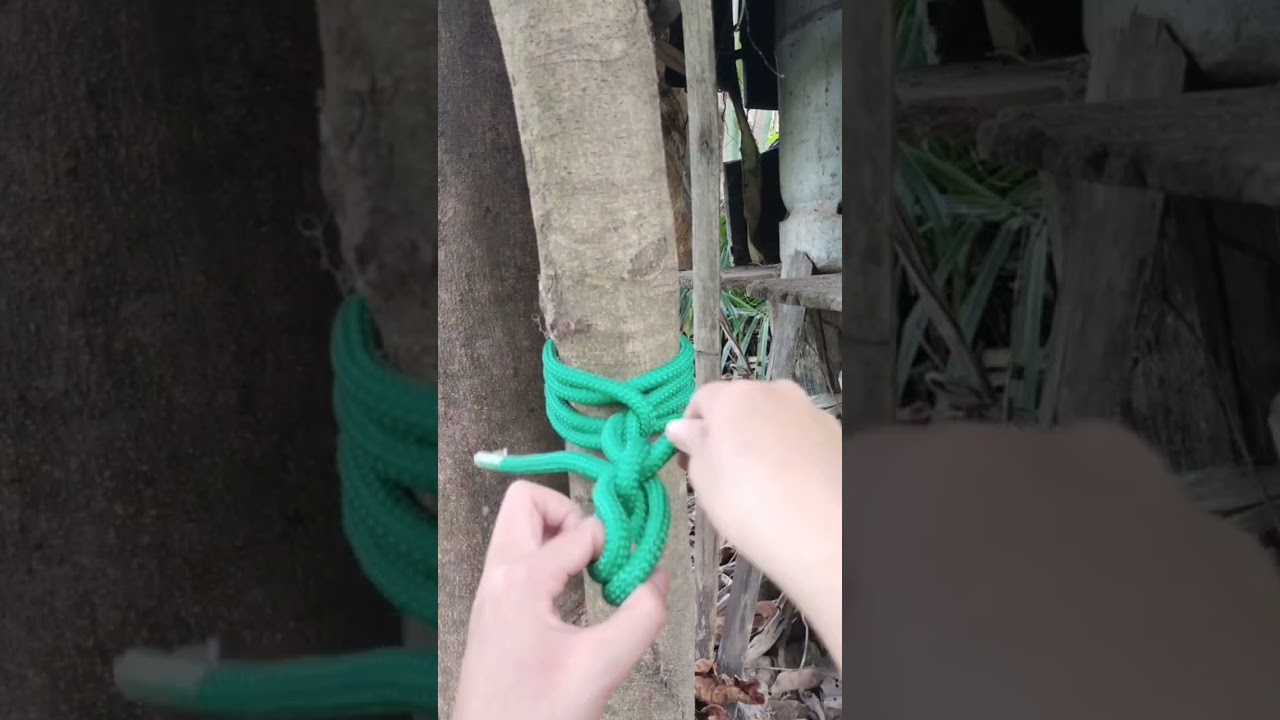 Easy and Useful Knot TUTORIAL EP77#knottutorial #ropetutorial #diyrope #shorts