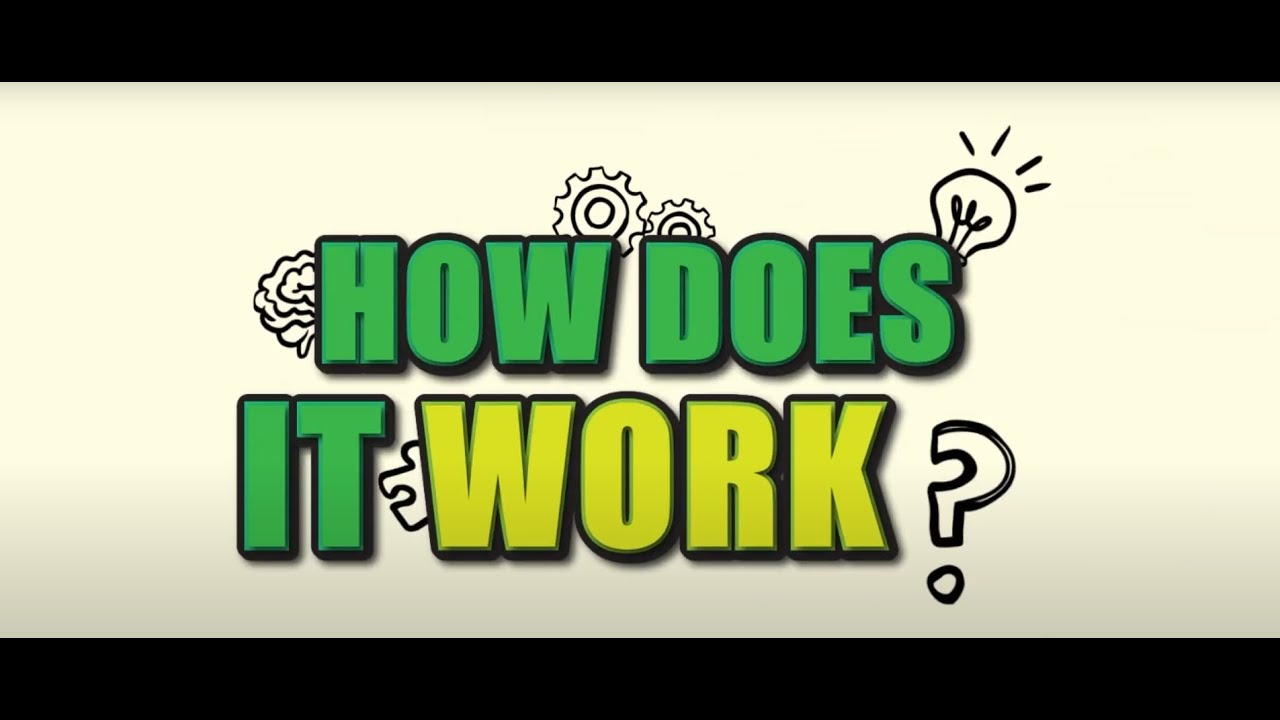 What is an Optical Illusion?  | Optical Illusions Explained for Kids | Optical Illusions for Kids