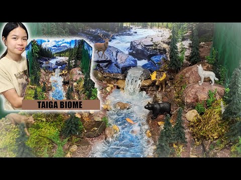 How to Make a Shoe Box Diorama - Taiga Biome (Boreal Forest) School Project