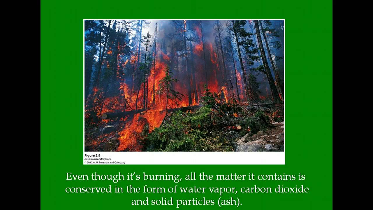 APES - Chapter 2 Environmental Systems