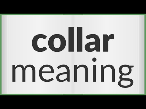 Collar | meaning of Collar