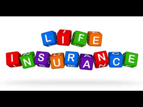 best online life insurance quotes । term life insurance policy quotes । life insurance quotes online