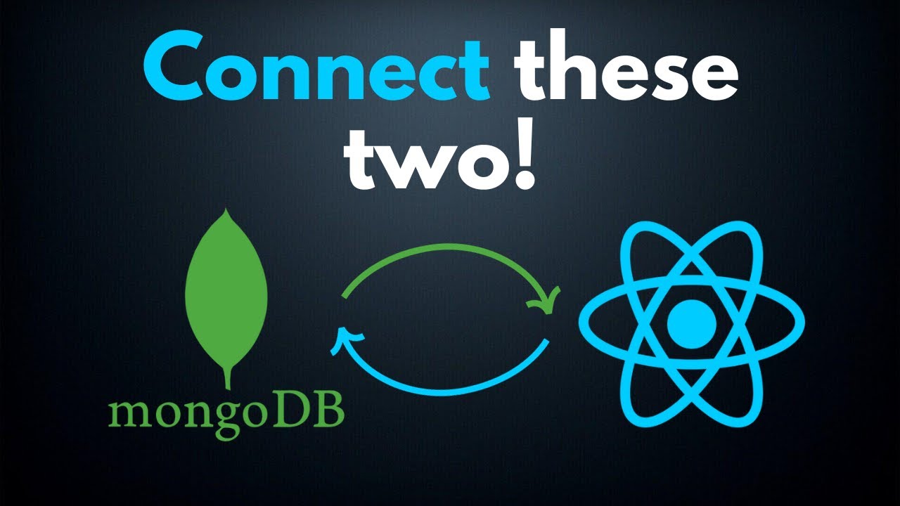 How to Connect a MongoDB Database to React