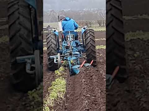 Fordson Super Major Tractor at Sherwood Forest Ploughing Match - Sunday 19th January 2025