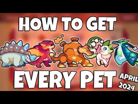 Prodigy Math Game | How to Obtain EVERY Pet in Prodigy! (April 2024)