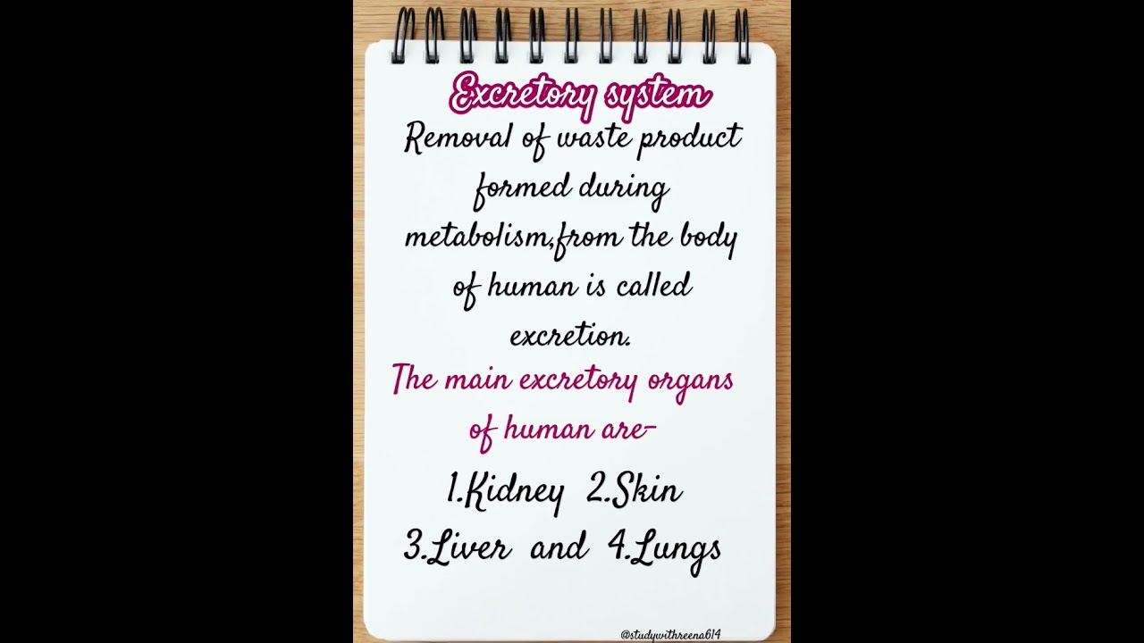 Excretory system||Excretion||Excretory organs