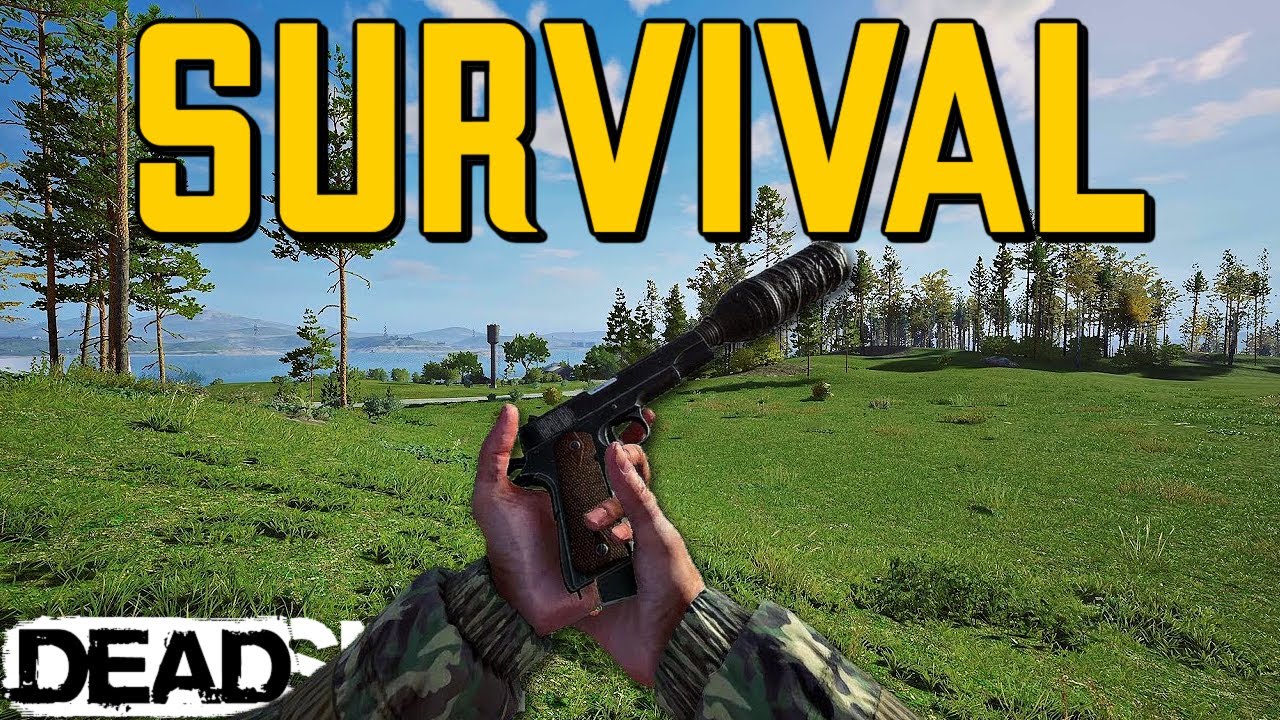 Can A SOLO Really Survive In Deadside?