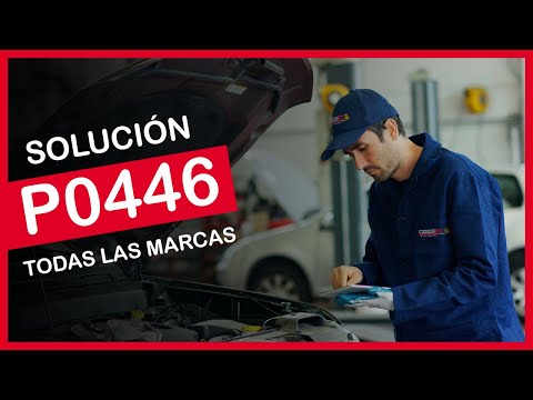P0446 ✅ SYMPTOMS AND CORRECT SOLUTION ✅ - Fault code OBD2