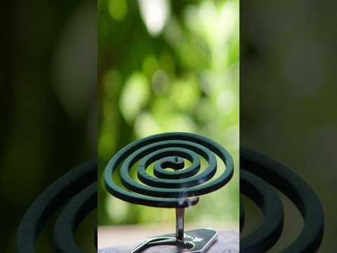 mosquito coil in injurious to health #shorts #viralshorts #facts #youtubeshorts #short