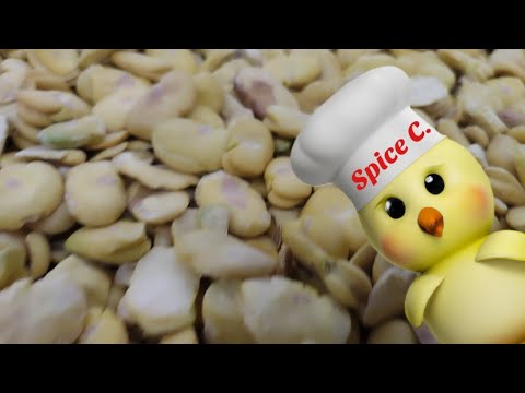 what we always wanted to know about fava beans
