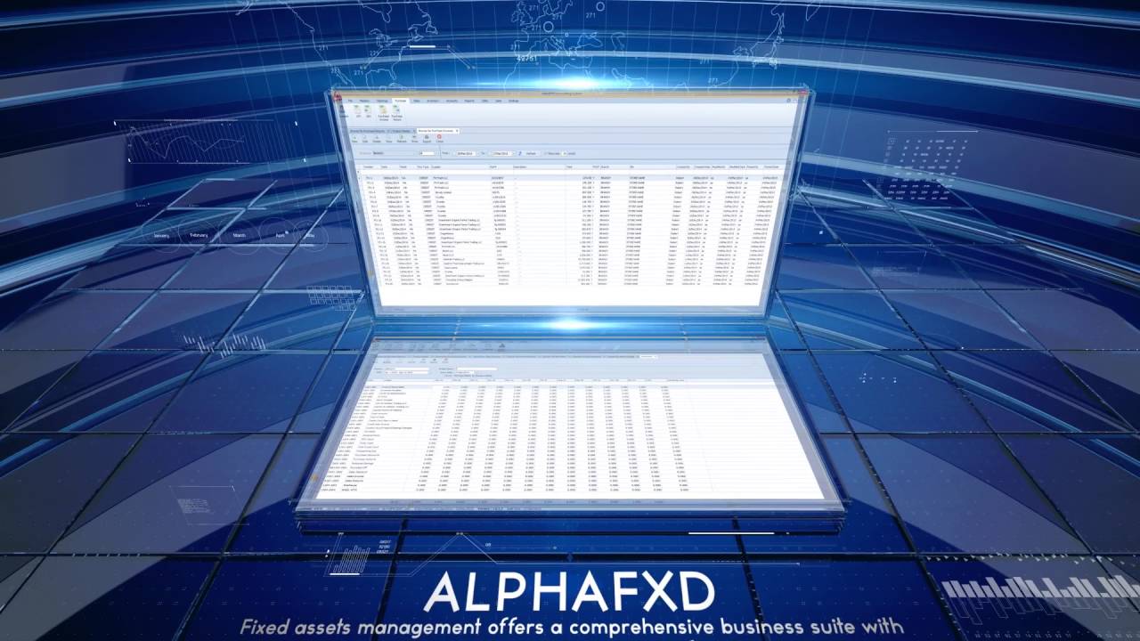 Alpha  ERP - Smart ERP Solutions