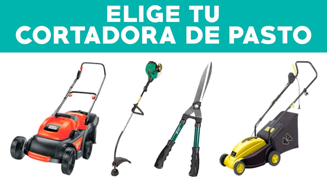 How to choose a lawnmower?