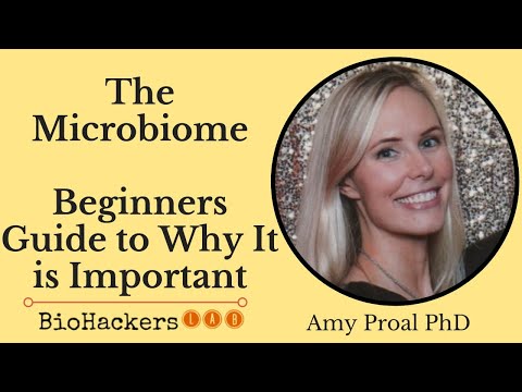 Why Is the Microbiome So Important? • Amy Proal PhD | Health Bog from ...