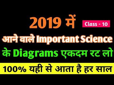 Most Important Science Diagrams Class 10th 2019 - Science Diagrams ...