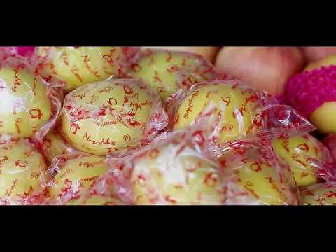 The promising future of MSMEs in the Philippines (Documentary)